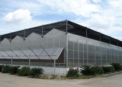 China Customized Polycarbonate Sheet Greenhouse For Year Round Flower And Vegetable Growth for sale