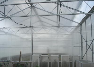 China IGreen PC Board Greenhouse Multi-Span Agricultural Greenhouses with PC Sunshine Board Panels for sale