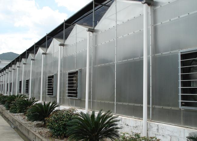Greenhouse polycarbonate panels