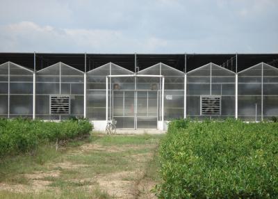 9.6m tunnelbreedte polycarbonaat kas voor duurzame landbouwpraktijken