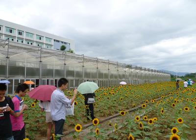 中国 農業用カスタマイズ可能な商業用ポリカーボネート温室 高い肩 販売のため