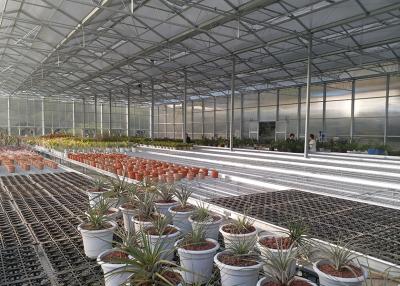 China Polycarbonate Greenhouse Sheet with Customized Length and 9.6 Meter Tunnel Width for sale