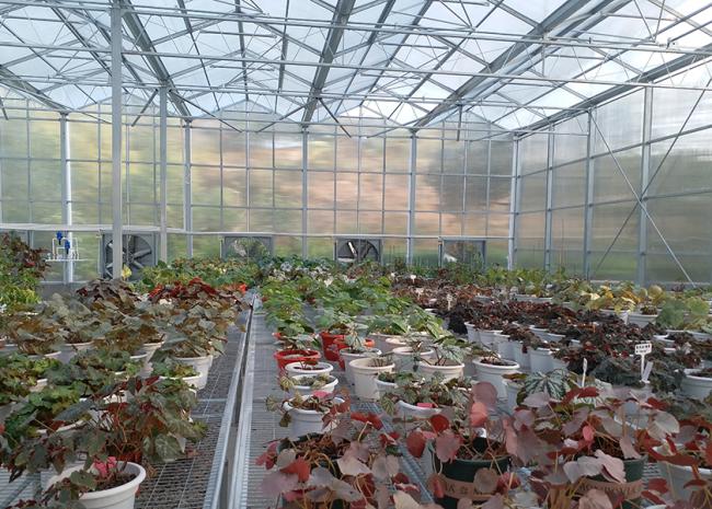 Multi-span greenhouse installation process