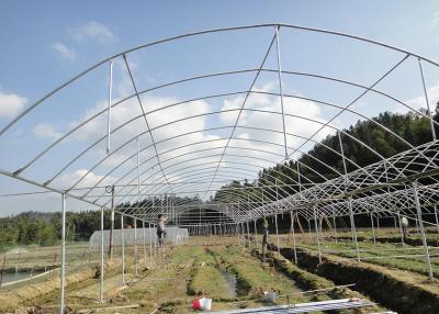 中国 シングルレイヤ IGreen マルチスペンプラスチックフィルム温室 肩の高さ1.8-2.5m 販売のため
