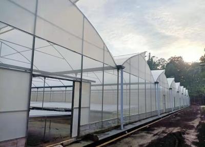 China Climate Controlled Agricultural Greenhouse Hot Dipped Galvanized Steel Greenhouse for sale
