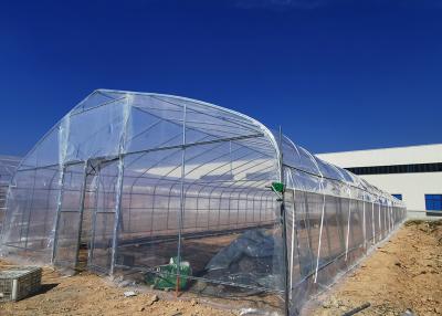 중국 터널 온실, 고온 담긴 진료 철강 구조와 275gm 진크 코팅 판매용