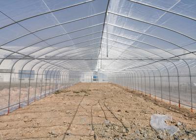 China Small Scale Farming Single Span Greenhouse Customize Plastic Film Greenhouse for sale
