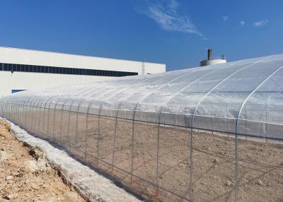 China Small Scale Farming Single Span Greenhouse Customize Plastic Film Greenhouse for sale