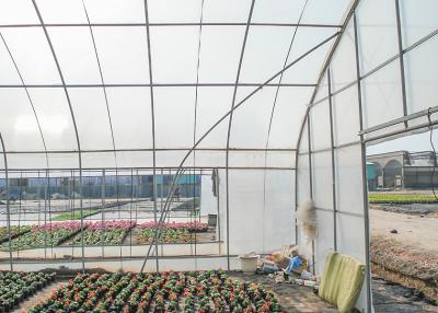 China Small Scale Farming Single Span Greenhouse Customize Plastic Film Greenhouse for sale
