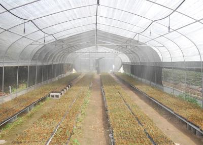 Китай Теплица с климат-контролем 19.68 футов, крыша из полиэтилена, высота 6 м, с потолочным вентилятором продается