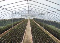 Quality Small Scale Farming Single Span Greenhouse Customize Plastic Film Greenhouse for sale