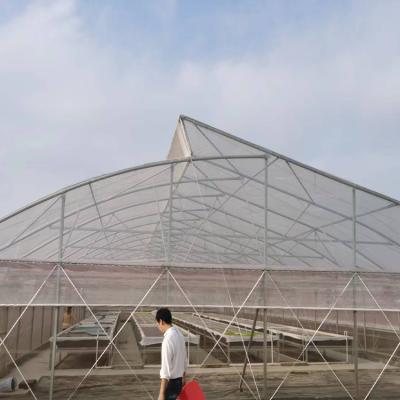 Китай 200-микронная однопролетная теплица для сельского хозяйства, тропический климат продается