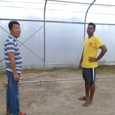 Китай Сельское хозяйство Оранжерея одноразовая Оранжерея из оцинкованной стали Легкая установка продается