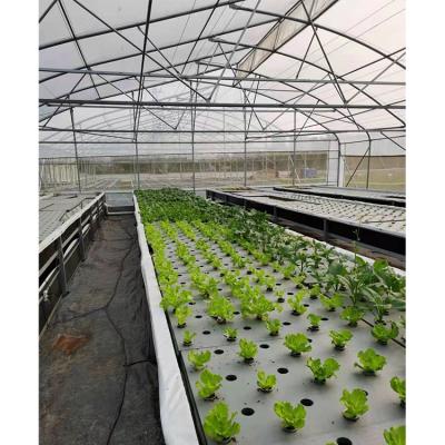 China Durable Hot Dipped Galvanized Steel Structure Greenhouses for Tomato Lettuce and Pepper for sale