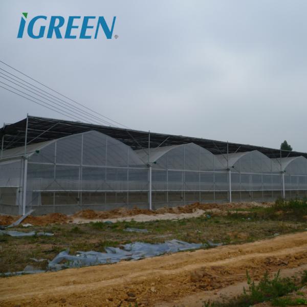 Quality Multi-Span Agricultural Greenhouses Hot Climate Cover with 150/200micron Plastic Film for sale