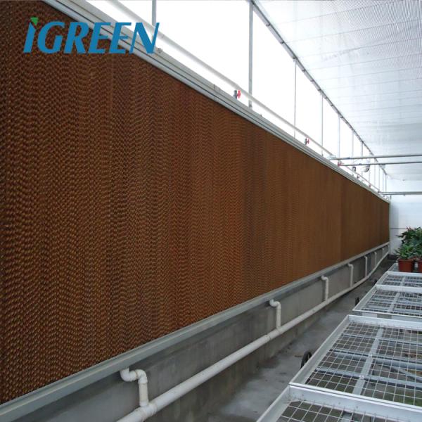 Quality IGreen Agricultural Greenhouses Large Panda Film Greenhouse Suitable for All Climates for sale