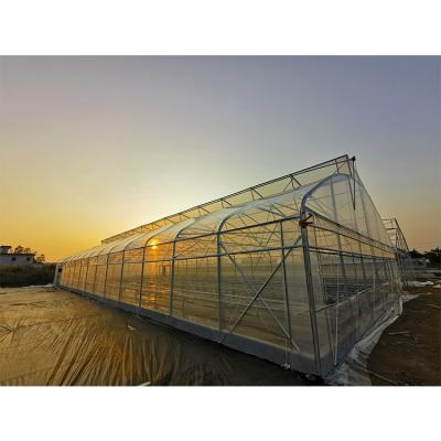 Serra a campata unica resistente ai raggi UV con film plastico da 200 micron di lunga durata