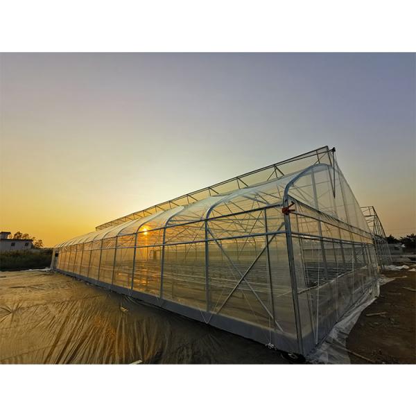 Quality UV Resistant Single Span Greenhouse 200 Micron Plastic Film Long Lasting for sale
