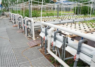China DWC deep water culture Hydroponics System Vertical Hydroponic For Agriculture for sale