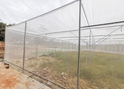 Китай Многоразовые тенные сетки для теплиц, нержавеющие для клубники и грибов продается