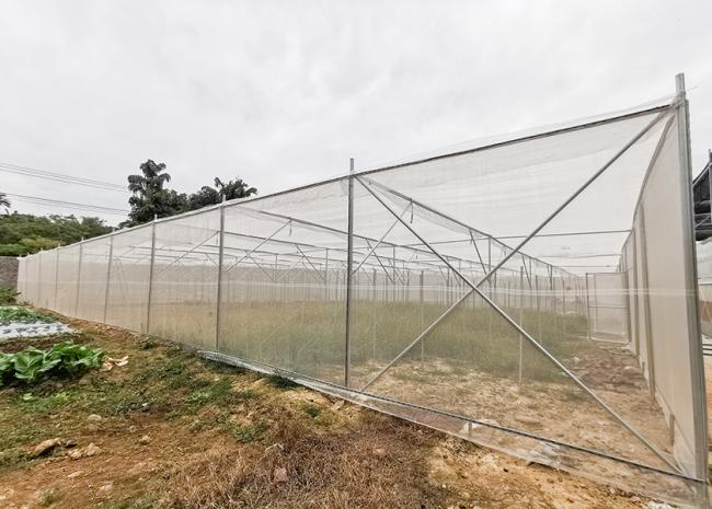 Close-up of greenhouse structure