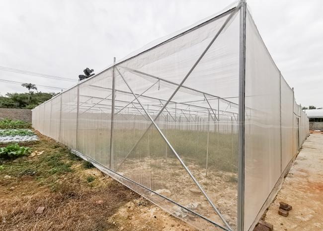 Multi-span greenhouse exterior view