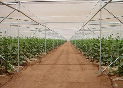 Китай Многоразовые тенные сетки для теплиц, нержавеющие для клубники и грибов продается