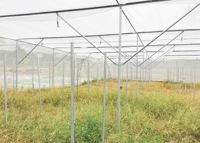 Китай Многоразовые тенные сетки для теплиц, нержавеющие для клубники и грибов продается