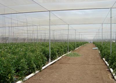 Китай Многоразовые тенные сетки для теплиц, нержавеющие для клубники и грибов продается