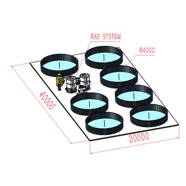 Quality PVC Tarpaulin Ras Recirculating Aquaculture System With Automatic Feeding for sale