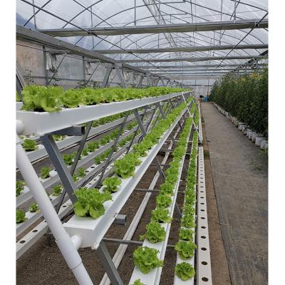 Китай 2-5 м высота плеча высокий тоннель пилозубная теплица для коммерческого выращивания растений продается