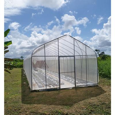 野菜用シングルスパン温室 カスタマイズされた小型屋外温室 iGreen
