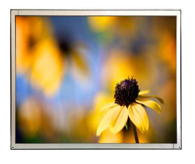 Cina 4 / 3 esposizione LCD a 17 pollici, video monitor dell'affissione a cristalli liquidi di dvi per vendere sistema embedded in vendita