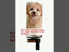 RGH 6.5inch Lcd Touch Display 720（RGB）X1600 With 16 leds Backlights