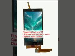 Bloqueio de porta de impressão digital TFT capacitivo touch screen LCD IPS Display 5.5 Inch Custom