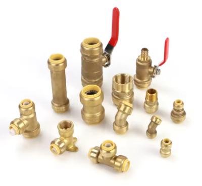 Cina Cassa frigorifero per auto frigorifero isolato portatile in vendita