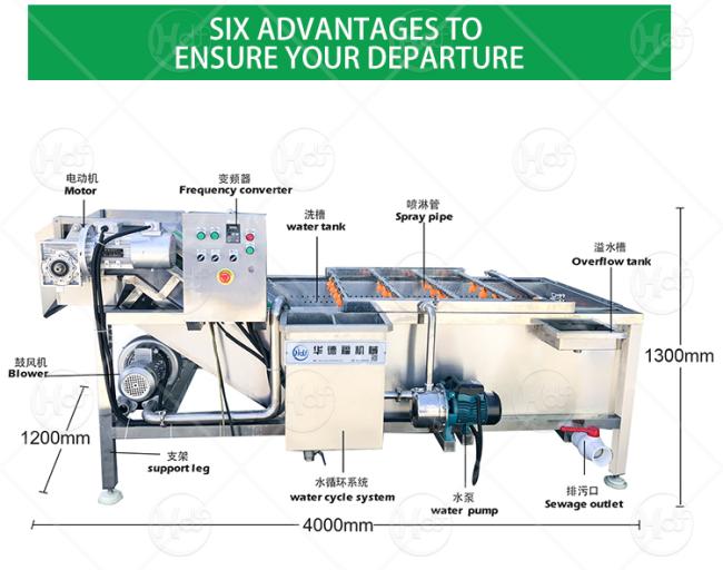 New Design Fruit Bubble Washer Vegetable Cleaning Industrial Seafood Washing Machine With Great Price