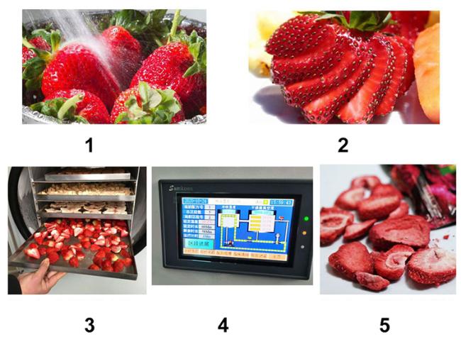 2022 new 100kg/200kg/300kg/400kg/500kg/1000kg per batch vacuum freeze dryer food freeze dryer