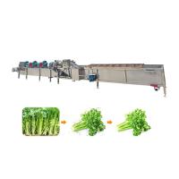 China fruit and vegetable washing and drying machine for sale