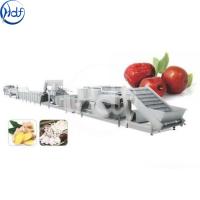 China Ginger cleaning machine taro cleaning machine bubble cleaning line for sale