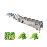 China vegetable washing and drying machine for sale
