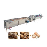 China vegetable washing and drying machine for sale