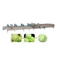 China vegetable washing and drying machine for sale
