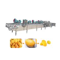 China vegetable washing and drying machine for sale