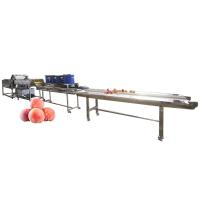 China Fruit Peach Sorting Washing Machine Orange Cleaning Drying Machine Fruit Processing Line for sale