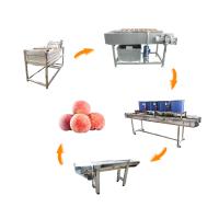 China Industrial lemon peach processing line/ apple fruit sorting washing drying waxing machine for sale