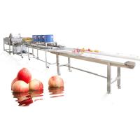 China Industrial lemon peach processing line/ apple fruit sorting washing drying waxing machine for sale