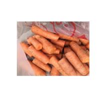 China High quality bottled pickled cucumber production line for sale