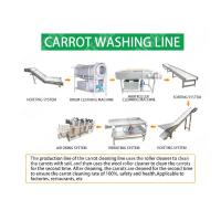 China Bamboo shoot processing equipment vegetable processing line for sale