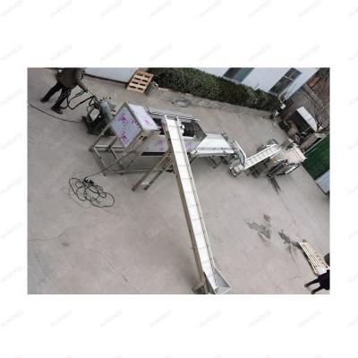 China OEM Grade 5 Fruit and Vegetable Grader Washing Machine Onion Garlic Fruit Sorter  Grader For Sale for sale